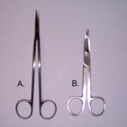 Salvatti (Buie) Rectal Scissors - Miller Rectal Scissors